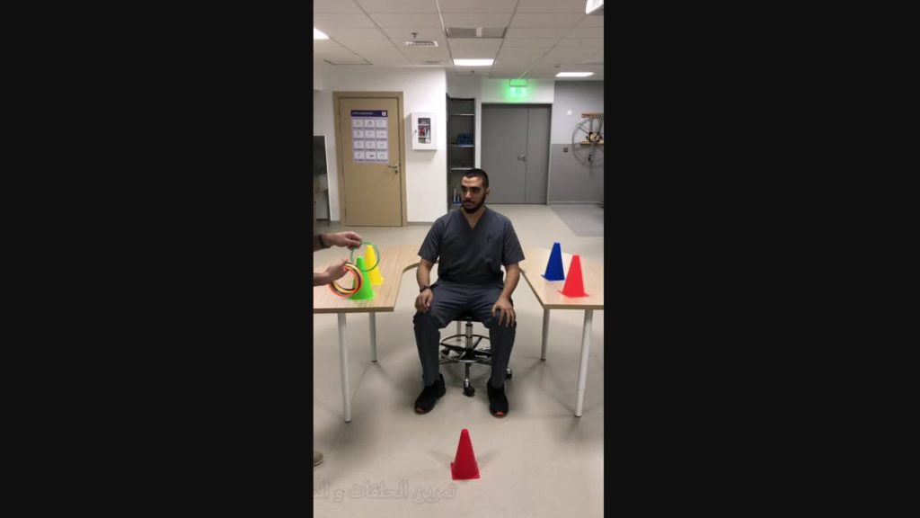 Occupation: Promoting Health and Physical Exercise - WFOT ...